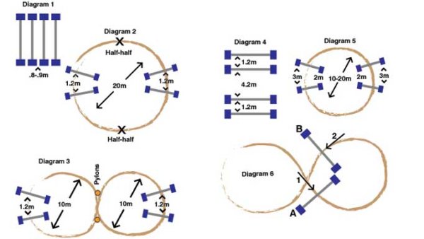 Cavaletti Work for Dressage Horses with Ingrid Klimke