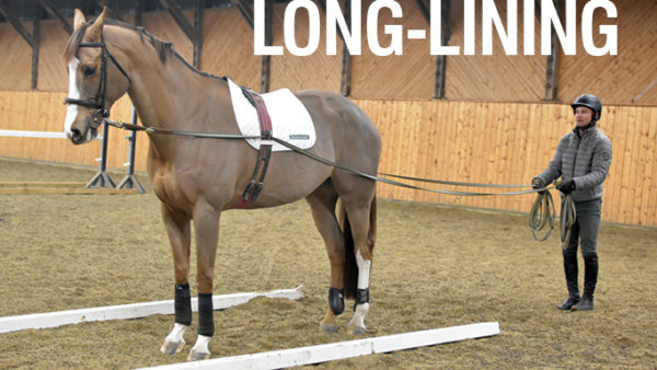 Long-Lining for all Ages and Stages with Hyde Moffatt