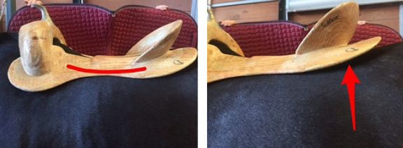 Saddle Tree: Everything You Need to Know About the Design