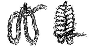 Coat Health From the Inside Out: 20 Secrets for Shinier Coats