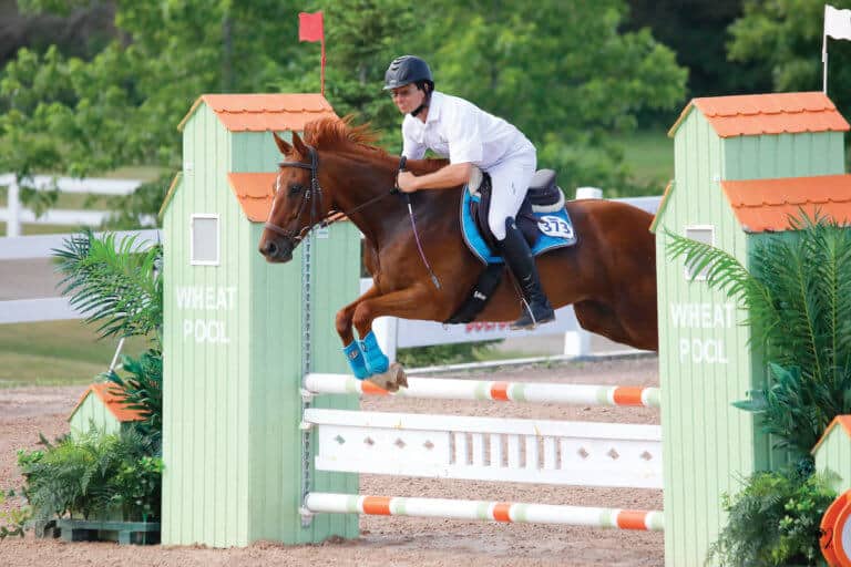 Making the Grade: Equitation Critique with Randy Roy