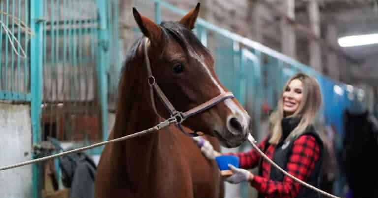 58 Cool Barn Hacks (and a few things you should never do)