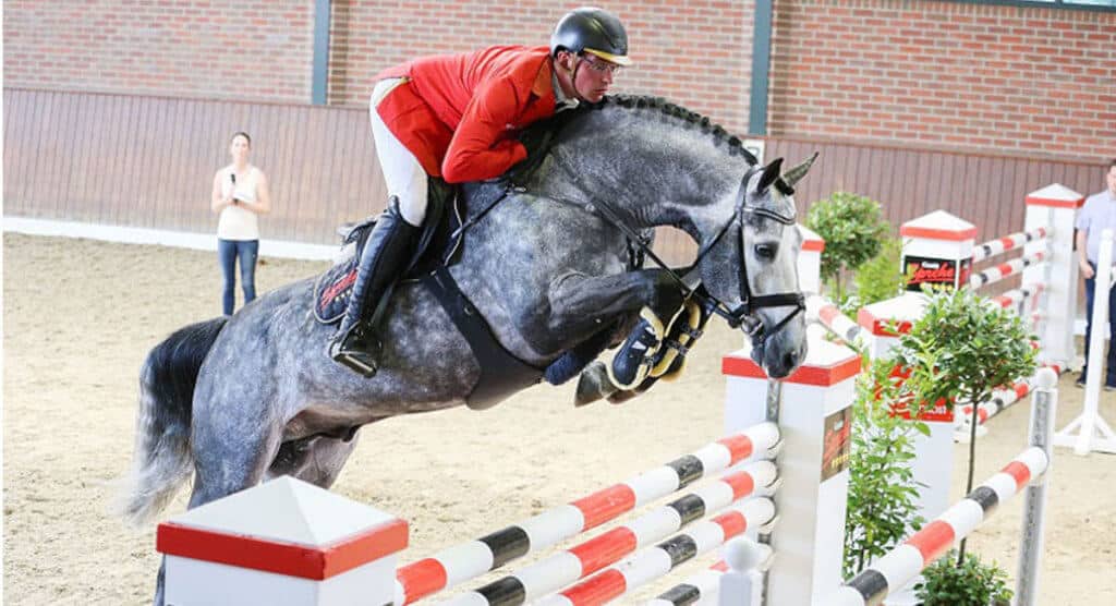 Royal Blood: Hickstead Offspring - Where are They Now?