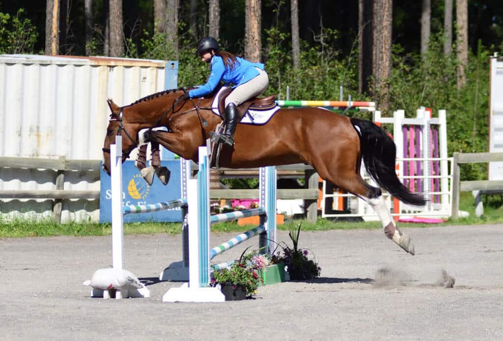 Making the Grade: Equitation Critique with Randy Roy