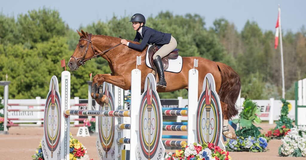 Making the Grade: Equitation Critique with Randy Roy