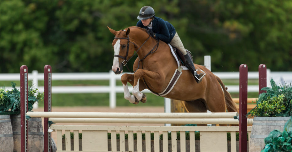 'Looking Back', Katie Uloth owes her success to seizing opportunities