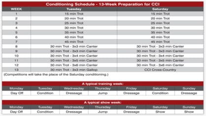 Back to Work Program: Legging Up the Event Horse