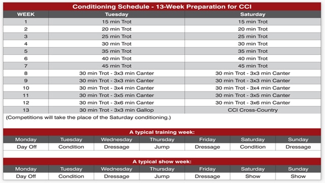 Back to Work Program: Legging Up the Event Horse