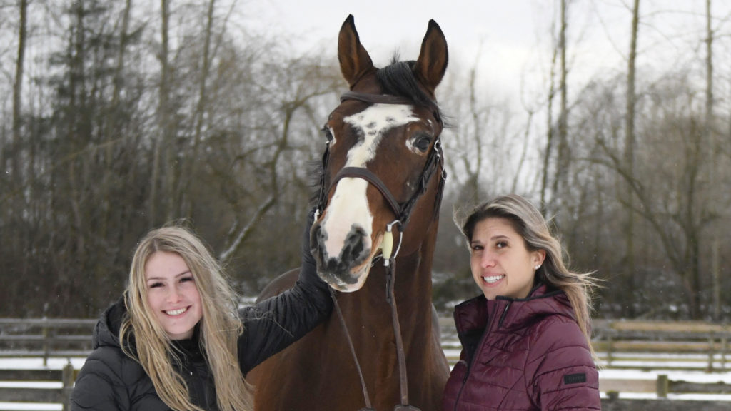 Canada's Top 50 Influencers in Equestrian Sport 2020: Dreamscape Farm