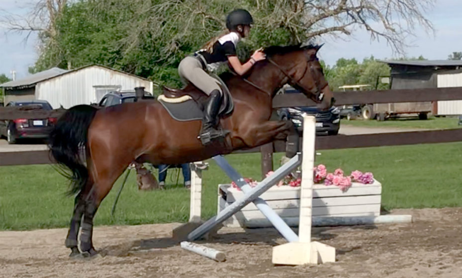 Making the Grade: Equitation Critique with Randy Roy