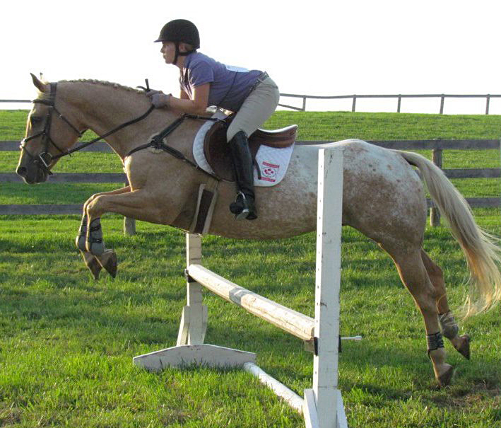 Making the Grade: Equitation Critique with Randy Roy