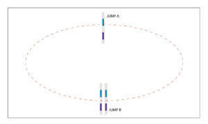 Five Important Jumping Skills, One Simple Exercise