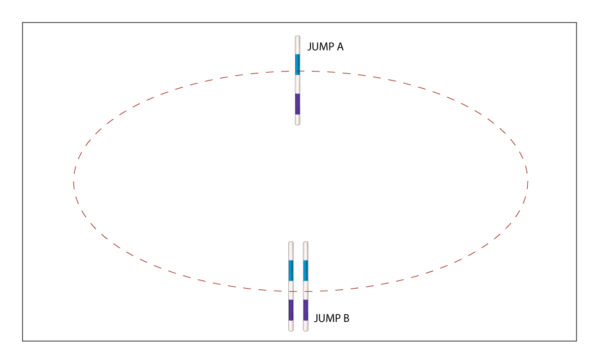 Five Important Jumping Skills, One Simple Exercise