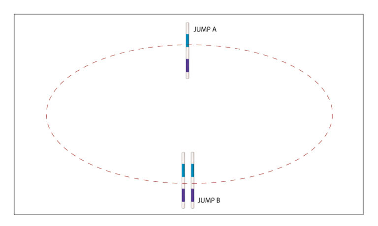Five Important Jumping Skills, One Simple Exercise