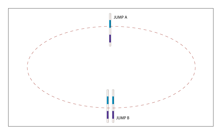 Five Important Jumping Skills, One Simple Exercise