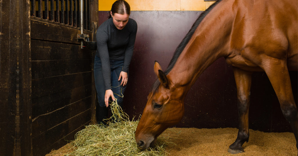 The Advantages of 'Trickle-Feeding' and Your Horse's Health