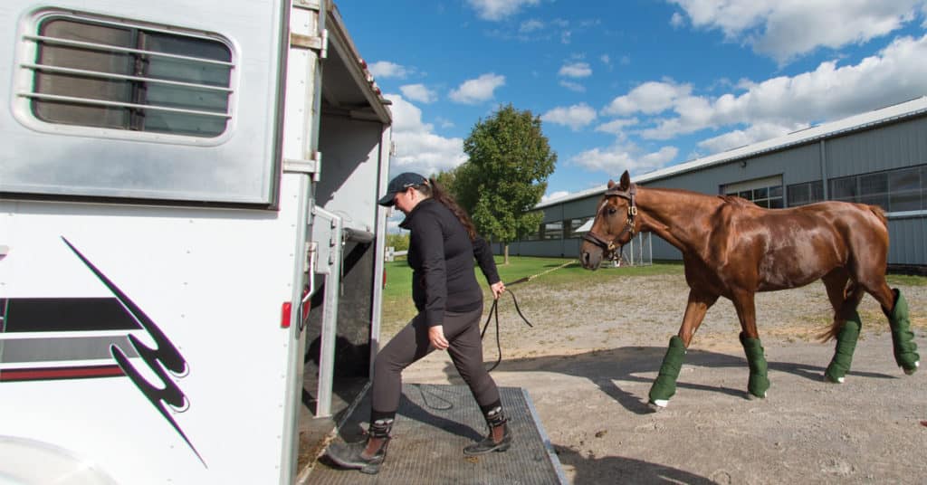 Trailer Loading Tips: Keep it Calm, Safe and Uncomplicated