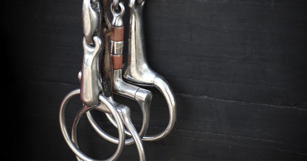 Inside the Horse's Mouth: The Importance of Bit-Fitting