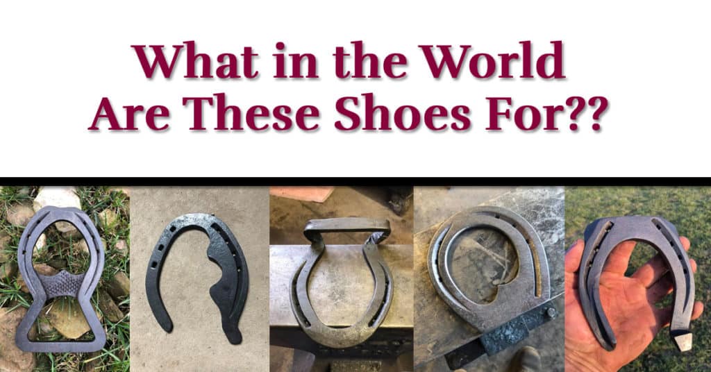 Forged in Fire: Supporting Athletes From the Ground Up