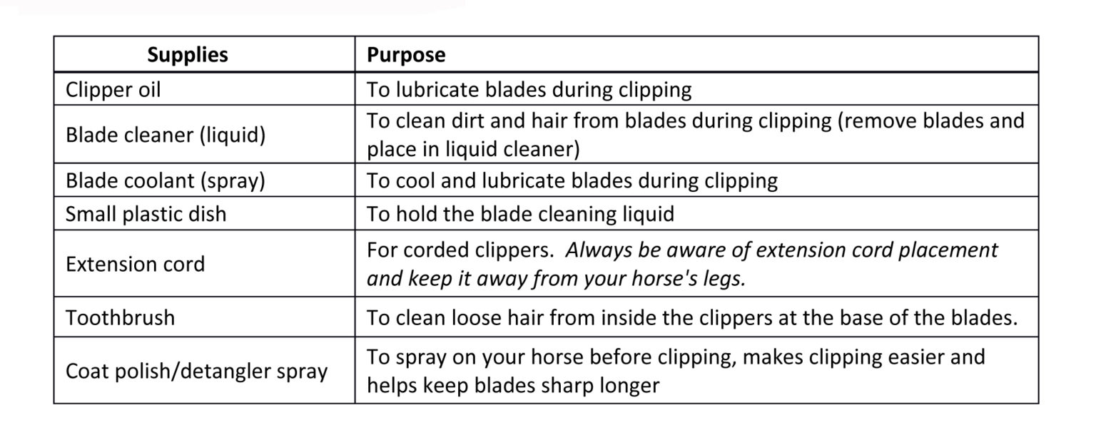 Handy Horse Clipping Tips, Styles and Strategies
