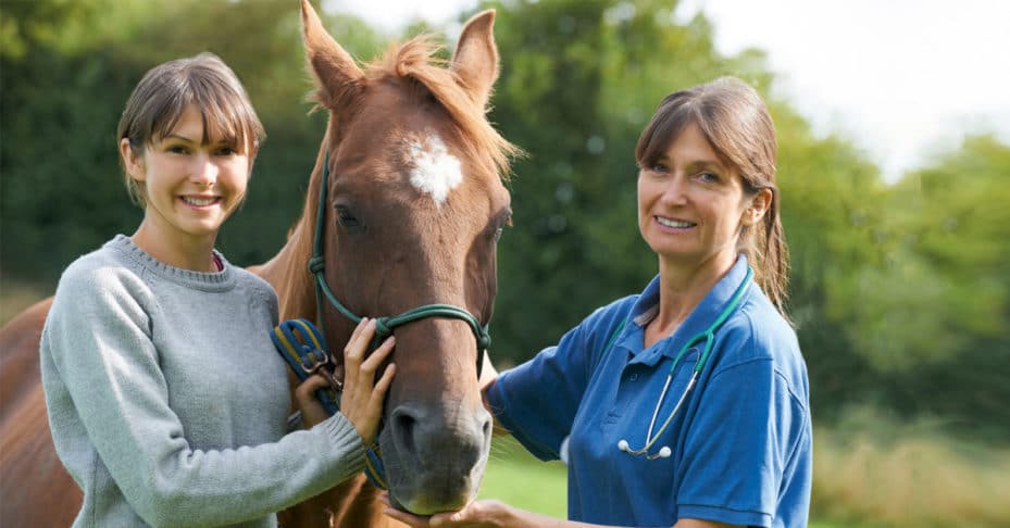 20 Top Tips to Make Your Farrier and Vet Love You