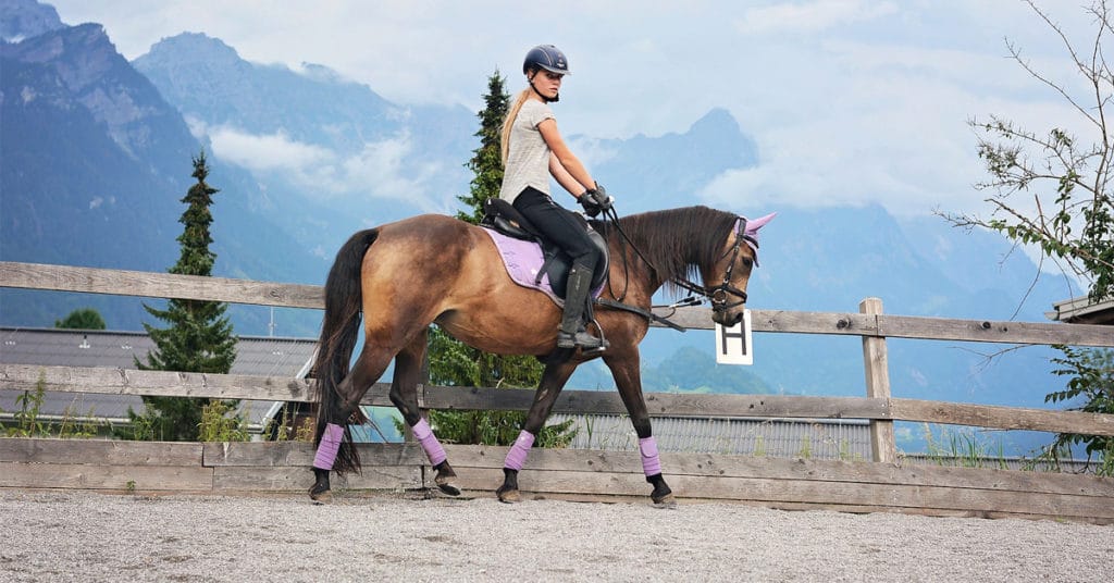 Saddle Fit and Gait Abnormalities in the Ridden Horse