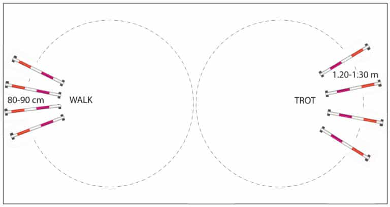 Three Essential Cavaletti Exercises for Your Horse