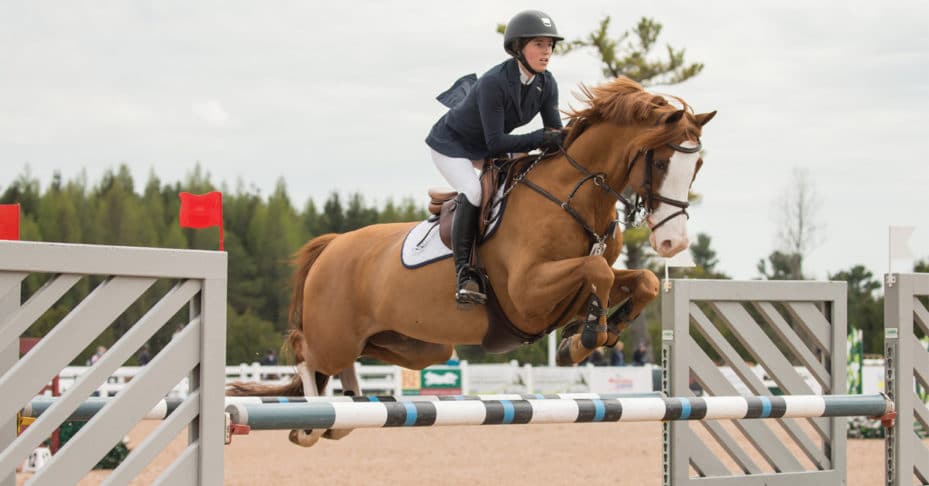 Stable Personalities: Getting to Know Ali Ramsay's Lutz