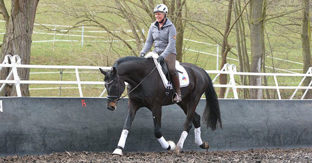 Forward & Down: The Key to a Correct Stretching Posture