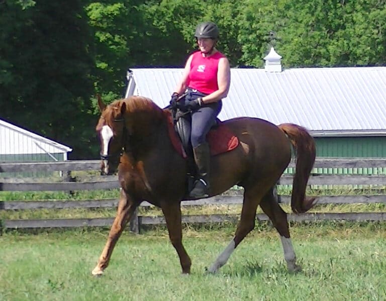 Improving Balance, Straightness and Connection from Head to Tail