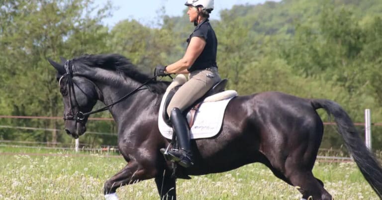 9 Rider Exercises for Improving Your Seat