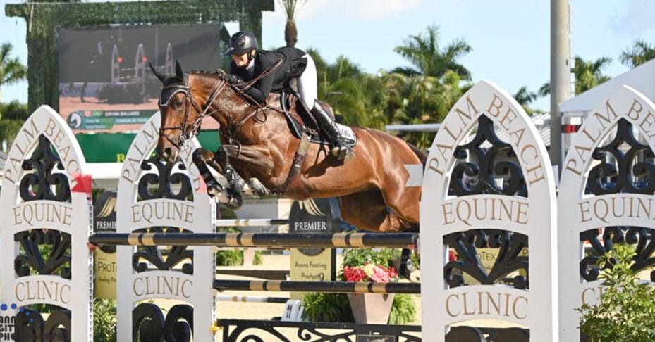 Lonely at the Top: Women in Show Jumping