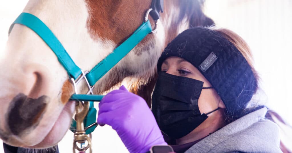 The Importance of a Bit That Fits