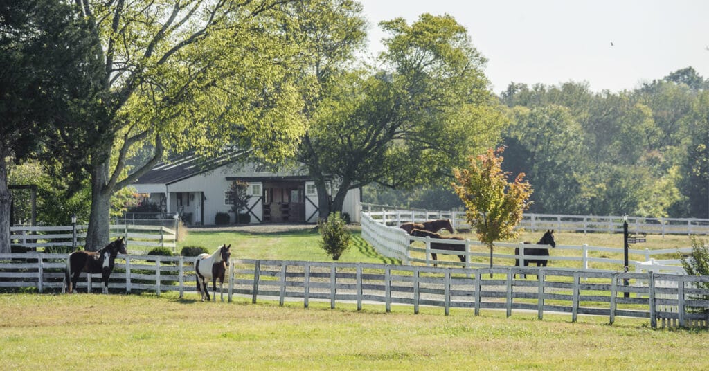 The Eco-Guide to Pasture Management