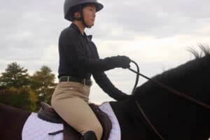 The Five Rein Aids (and How to Use Them)