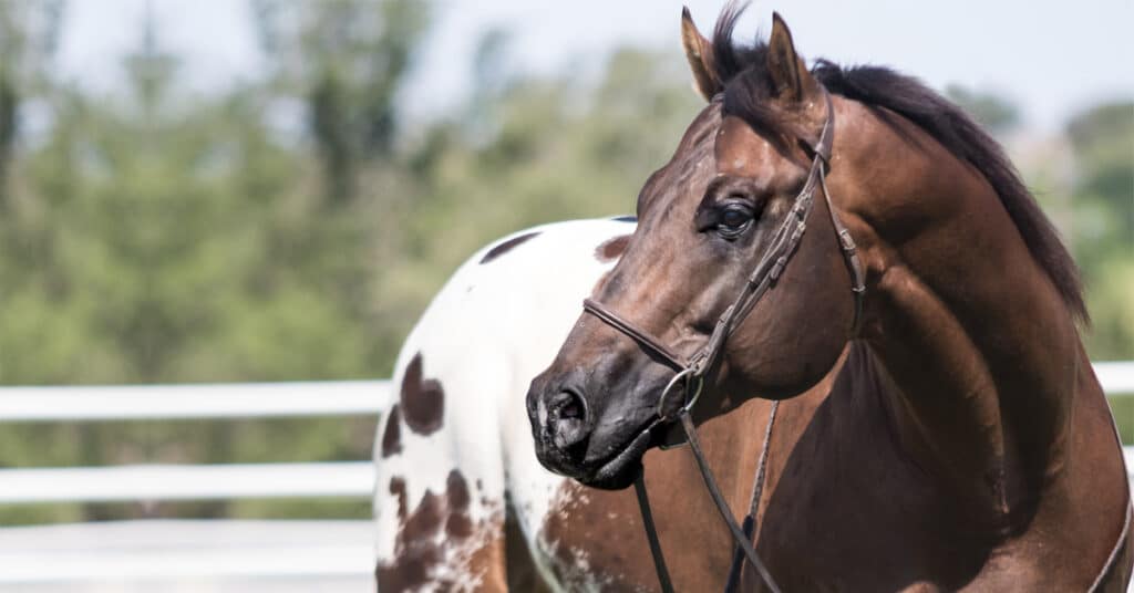 New Research Questions Validity of Some Genetic Testing