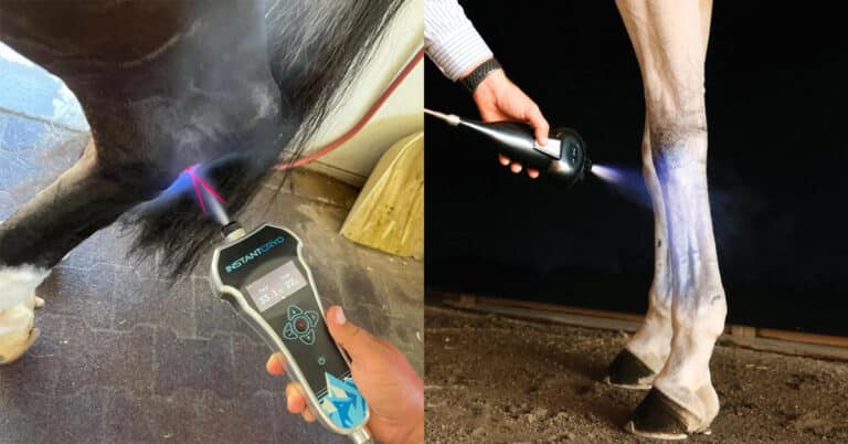 'Cryo Guns' for Treating Horses