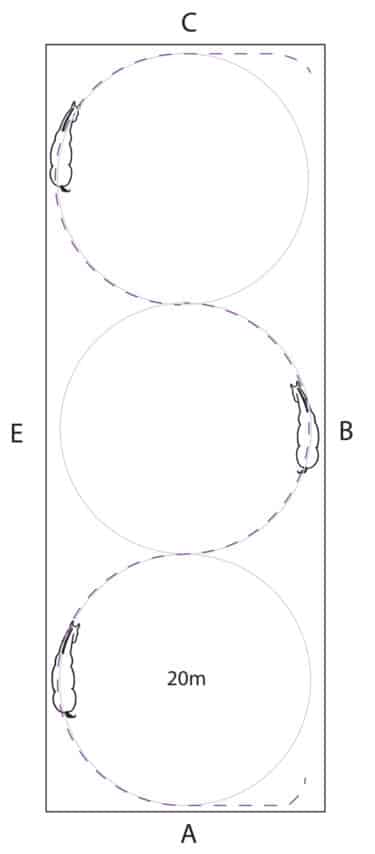 Riding More Accurate Dressage Corners and Serpentines