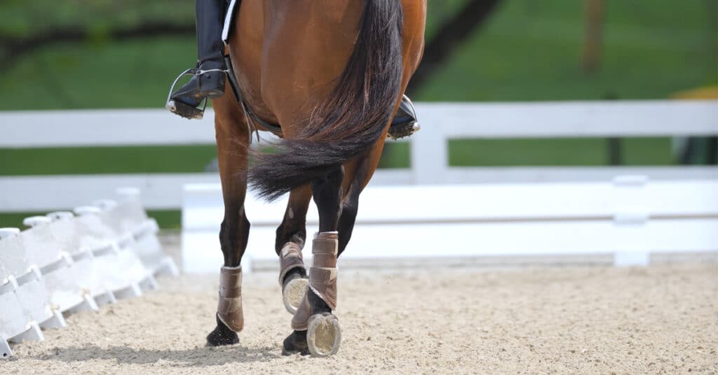 Riding More Accurate Dressage Corners and Serpentines