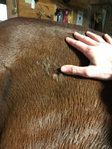 Preventing and Treating Common Skin Ailments