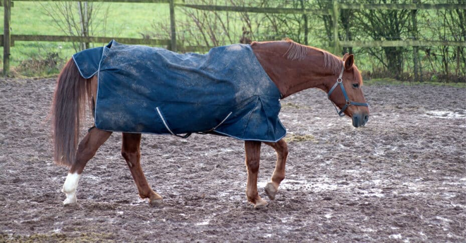 Preventing and Treating Common Skin Ailments