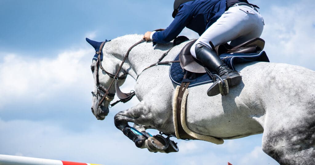 Biometrics and Show Jumping Performance