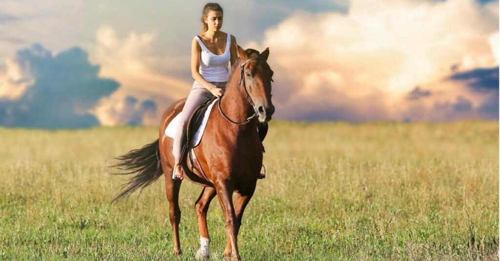 Top 5 Entertainment Choices for Equestrian Lovers