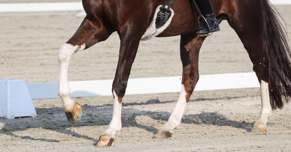 Nailing the Counter-Canter