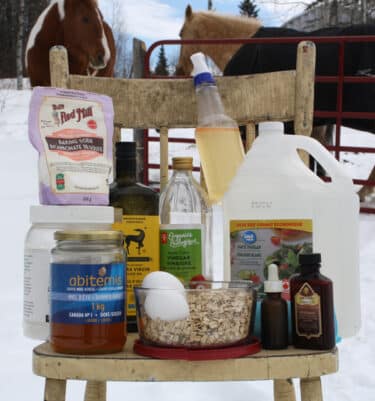 Homemade Horse Grooming Hacks