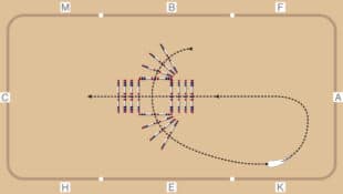 Pole Work for Dressage Riders