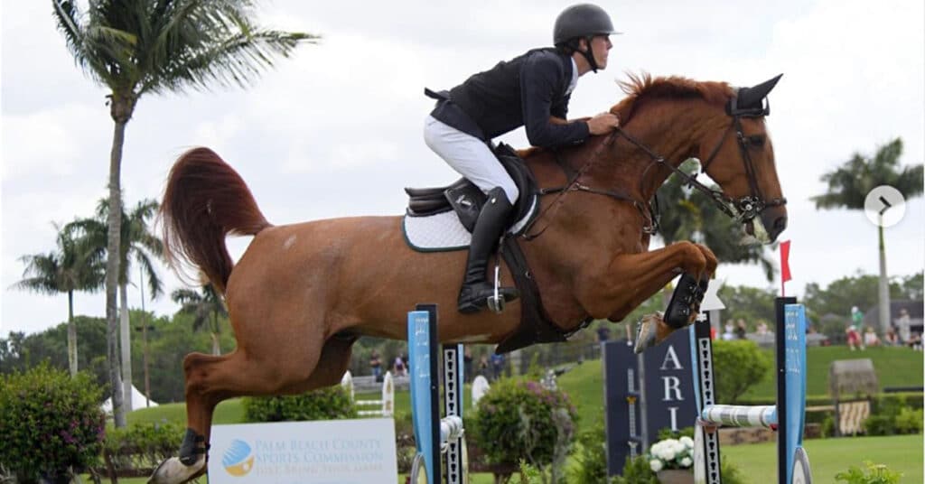 Quintyn Baeumler: Full Speed Ahead