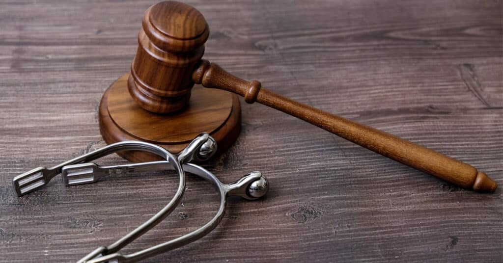 Using an Agent When Buying or Selling a Horse