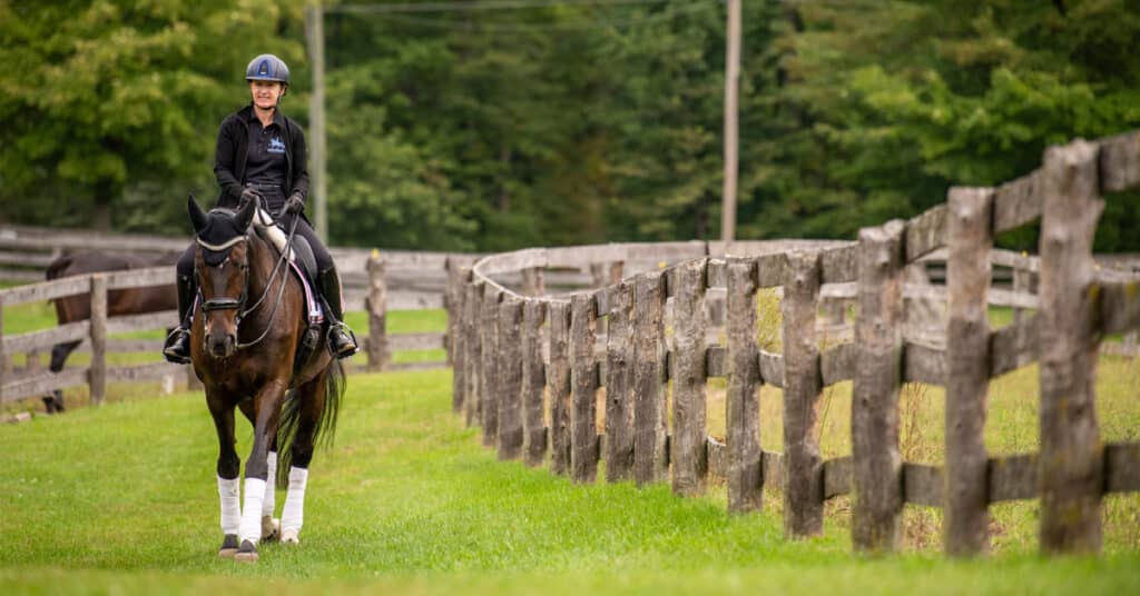 Vagal Tone: What Is It, and How Can Riders Improve It?