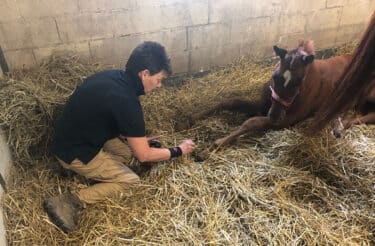 OEEEP: Supplying Employees for the Horse Industry